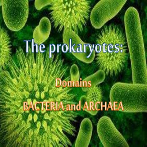 The prokaryotes report | PPTX