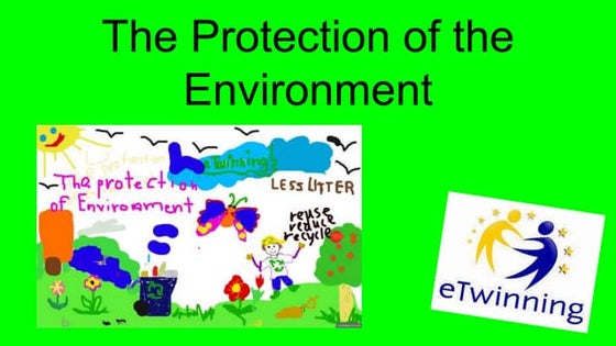 The Protection of the Environment | PPTX