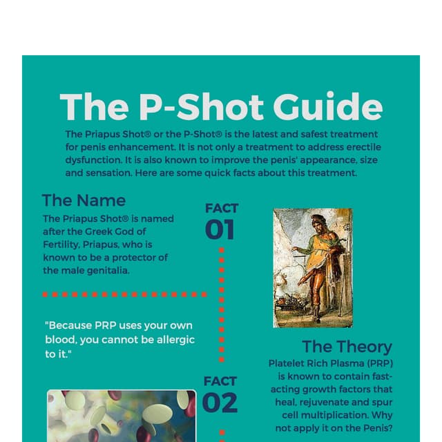The pshot guide | PDF