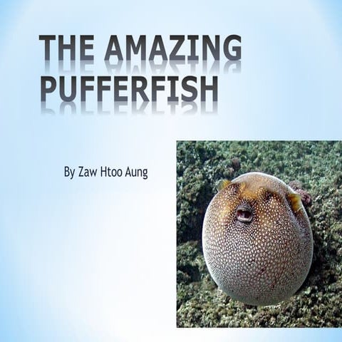 [Functional Morphology Of Puffing Behavior In Pufferfish – WXZYQG