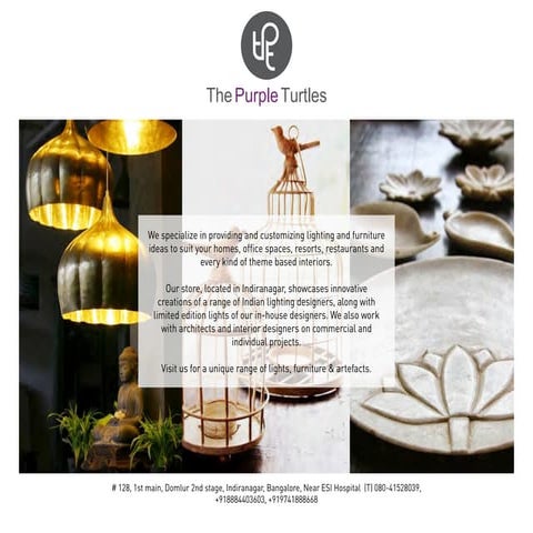 The purple turtles | PPT