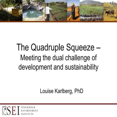 The Quadruple Squeeze – Meeting the dual challenge of development and ...