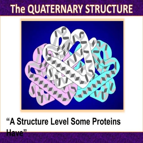 The Quaternary Structure of Protein | PPTX