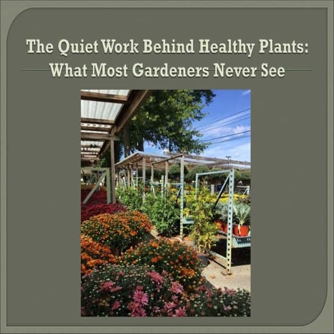 The Quiet Work Behind Healthy Plants What Most Gardeners Never See.pdf