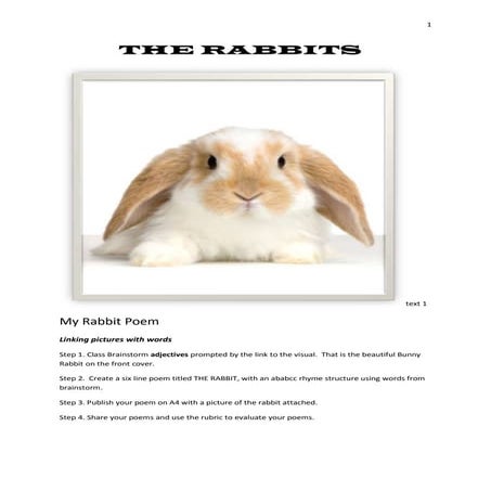 The rabbits slideshare | DOCX | Australia and Oceania Travel | Travel ...