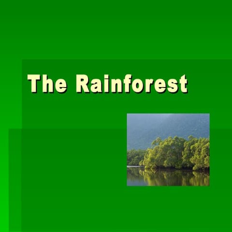 The rainforest | PPT