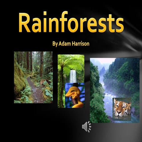 People of the Rainforest | PPTX