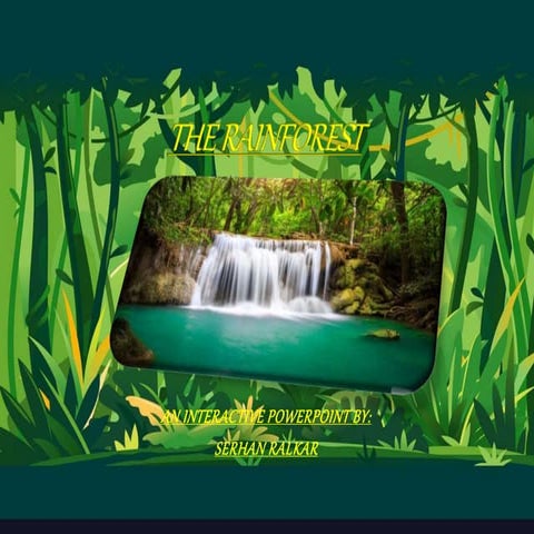 THE RAINFOREST.pptx