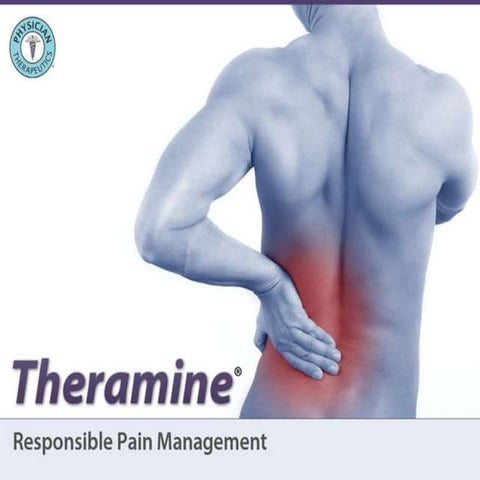 Responsible Pain Management with Theramine | PDF | Physical Therapy ...