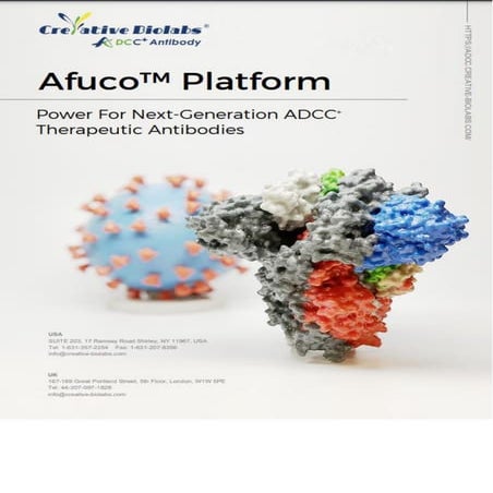 Therapeutic ADCC⁺ Biobetter Antibody Production.pdf