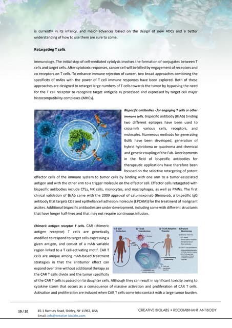 CAR- T Cell | PDF | Cancer | Diseases and Conditions