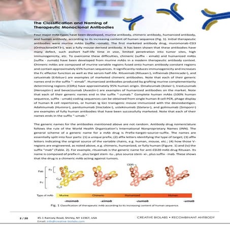 Non-GMP Antibody Production | PDF