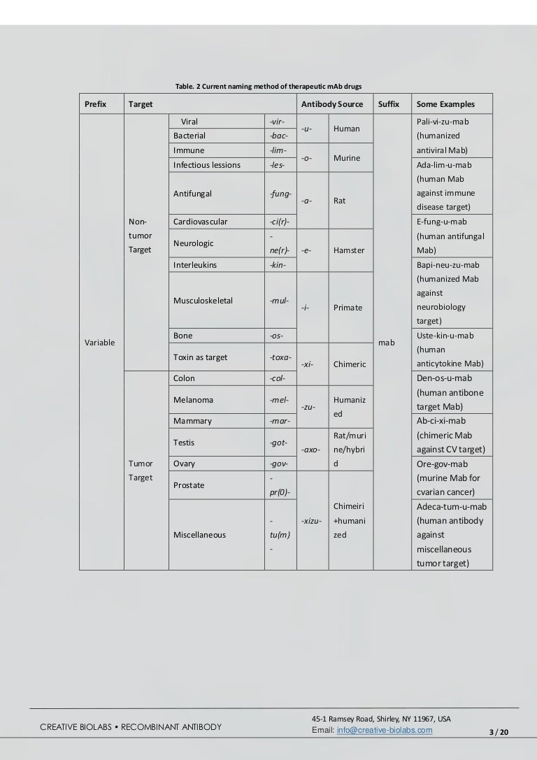 Current naming method of therapeutic mAb drugs
