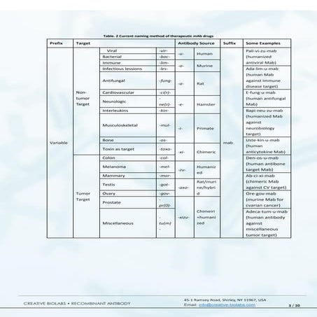 Current naming method of therapeutic mAb drugs | PDF