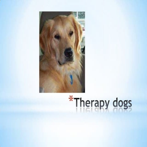 Therapy dogs presentation | PPTX