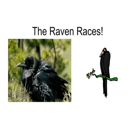 The raven races! | PPT