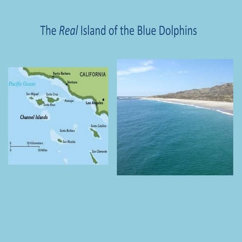 The Real Island Of The Blue Dolphins | PPT