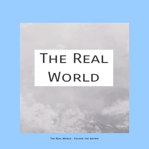 The Real World - Escape the matrix | PDF
