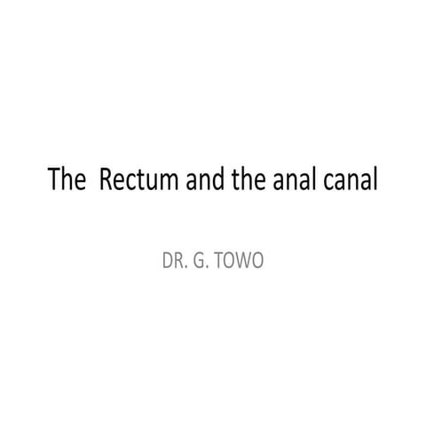 Histology Of Rectum And Anal Canalpptx