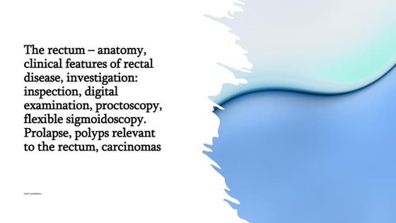 Anatomy of appendix | PPTX | Brain and Nervous System Disorders ...