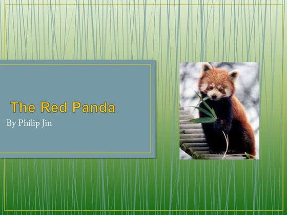 Panda Poster | PPT