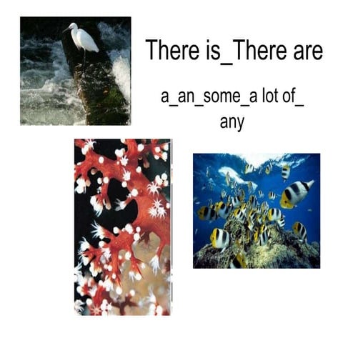 There Is There Are | PPS