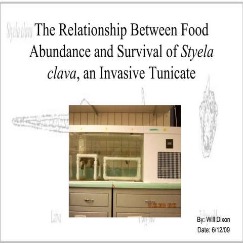 The relationship between food abundance and survival of the invasive ...