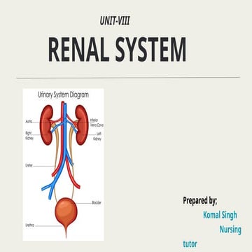 Urinogenital System in Frog 1.pptx