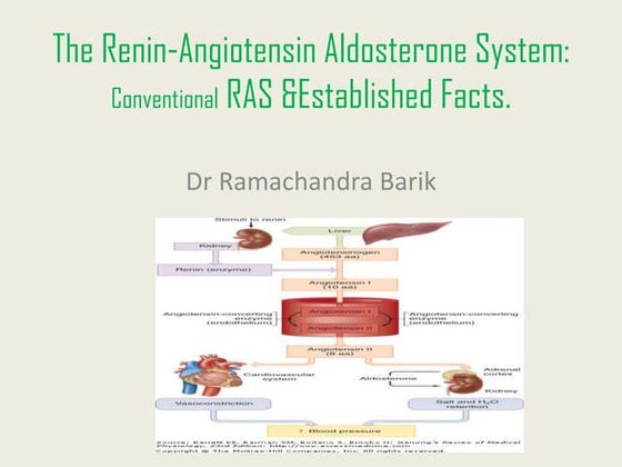 Renin Angiotensin Aldosterone System (RAAS).pptx