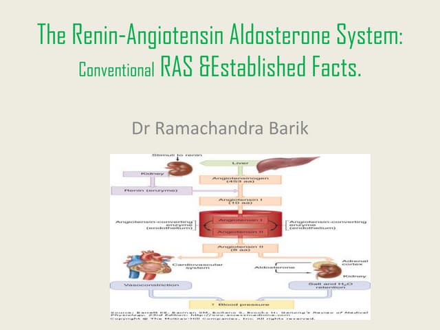 Renin Angiotensin Aldosterone System (RAAS).pptx
