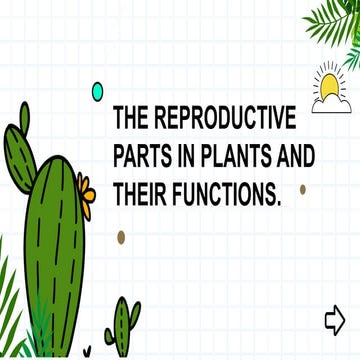 science grade 5 the human reproductive system.pptx
