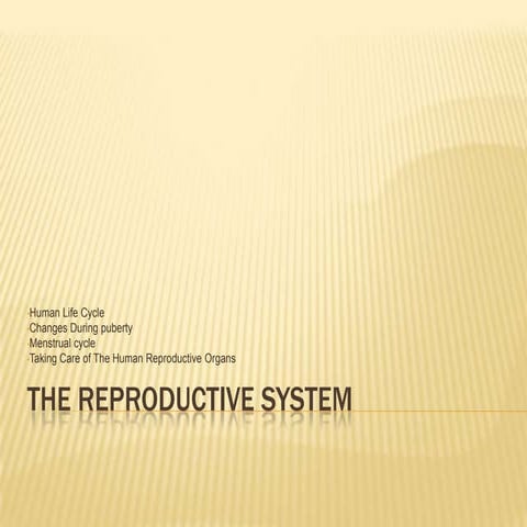 The reproductive system | PPT