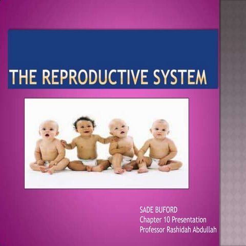The reproductive system | PPTX