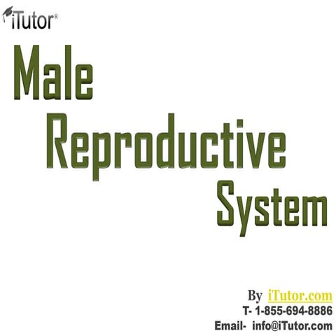 Grade 9 - Sexual Reproduction of Human | PPT