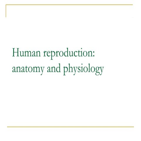 The reproductive system | PPT