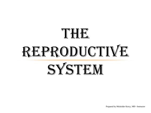 Female Reproductive System | PPTX