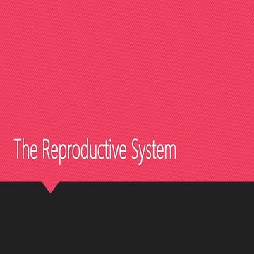 Science -The Reproductive System | PPTX