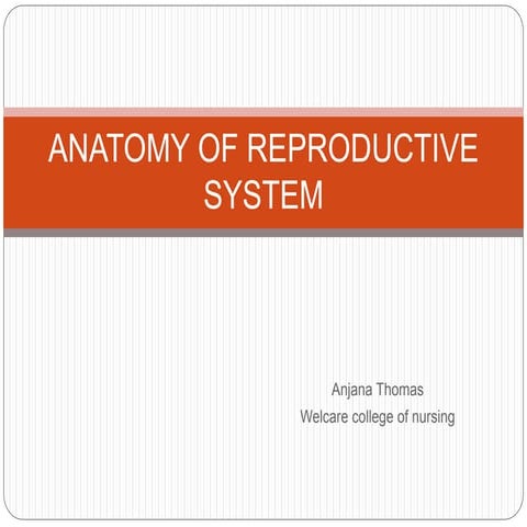 THE REPRODUCTIVE SYSTEM.pptx