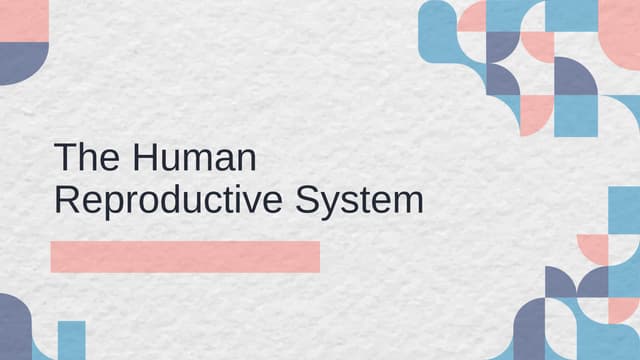 HEALTH (Physical Changes at Puberty) | PPTX