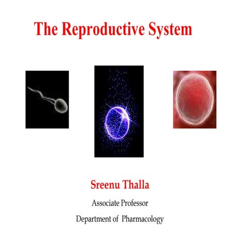 The Reproductive System with Family planning techniques | PPT