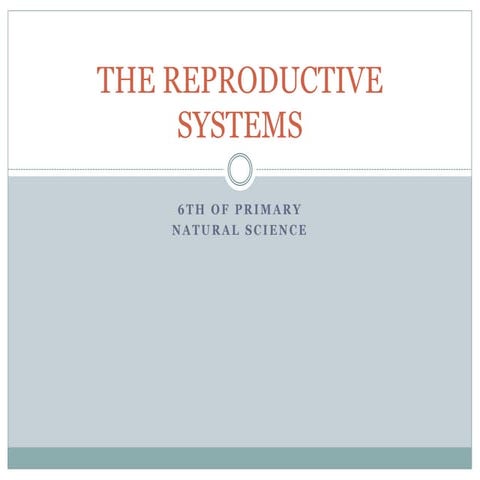 The reproductive systems 6th primary | PPTX