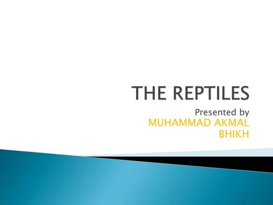 Classification of reptilia | PPT | Reptiles | Pets