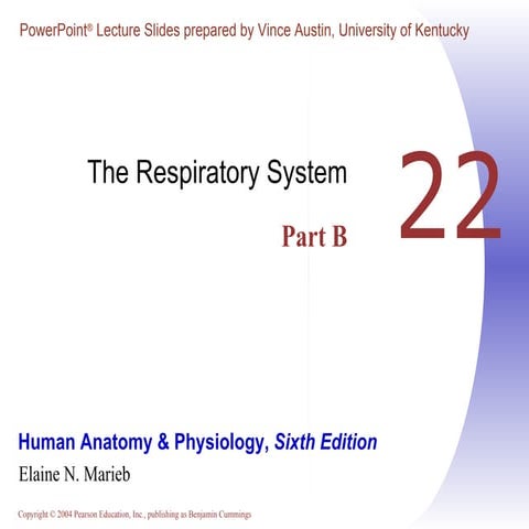 The Respiratory System | PPT