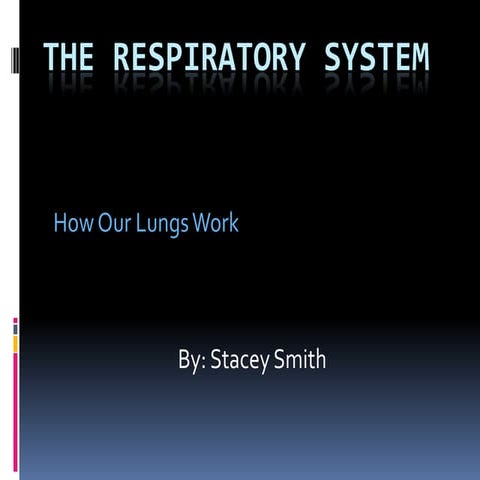 The respiratory system | PPTX