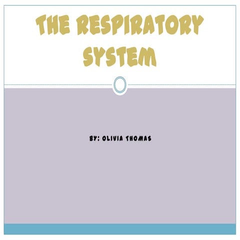 respiratory_system.ppt