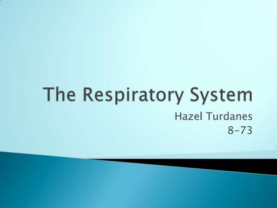 Respiratory system | PPT