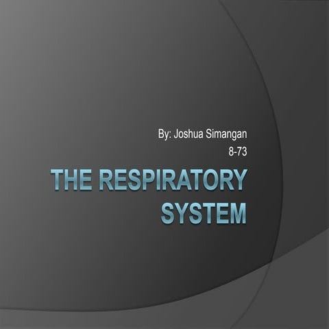 The Respiratory System | PPT