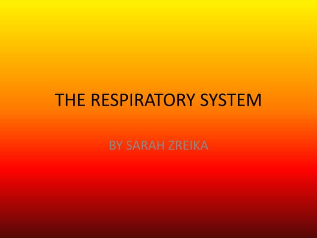 Respiratory System.Chapter # 7 | PPTX