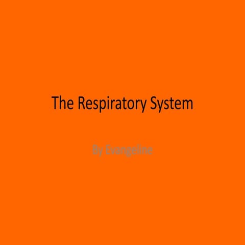 The respiratory system | PPTX
