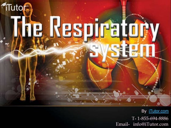 Respiratory System GRADE 6.pptx | Lung and Respiratory Health ...